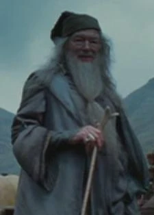 Albus Dumbledore's walking stick | Harry Potter Wiki | Fandom