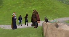 Augurey at the Magical Creatures Reserve | Harry Potter Wiki | Fandom