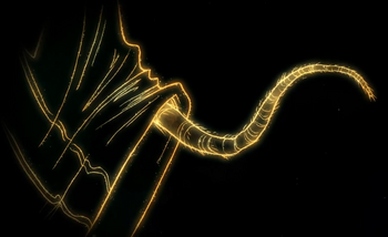 Tail-growing spell | Harry Potter Wiki | Fandom