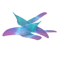 Ali di fata | Harry Potter Wiki | Fandom