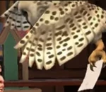 Hogwarts school owls | Harry Potter Wiki | Fandom
