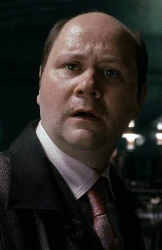 Minister for Magic Support Staff official | Harry Potter Wiki | Fandom