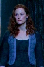 Lílian J. Potter | Harry Potter Wiki | Fandom