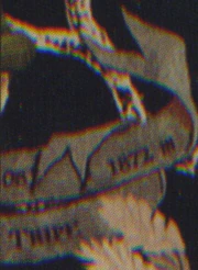 Magenta Tripe | Harry Potter Wiki | Fandom