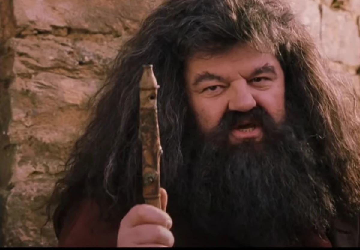 Flute | Harry Potter Wiki | Fandom