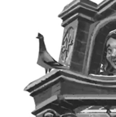 Pigeon | Harry Potter Wiki | Fandom