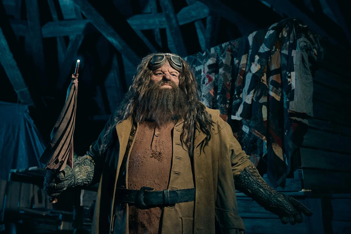 Hagrid's Magical Creatures Motorbike Adventure | Harry Potter Wiki | Fandom