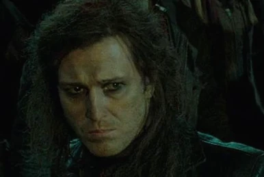 Samuel Roukin Harry Potter