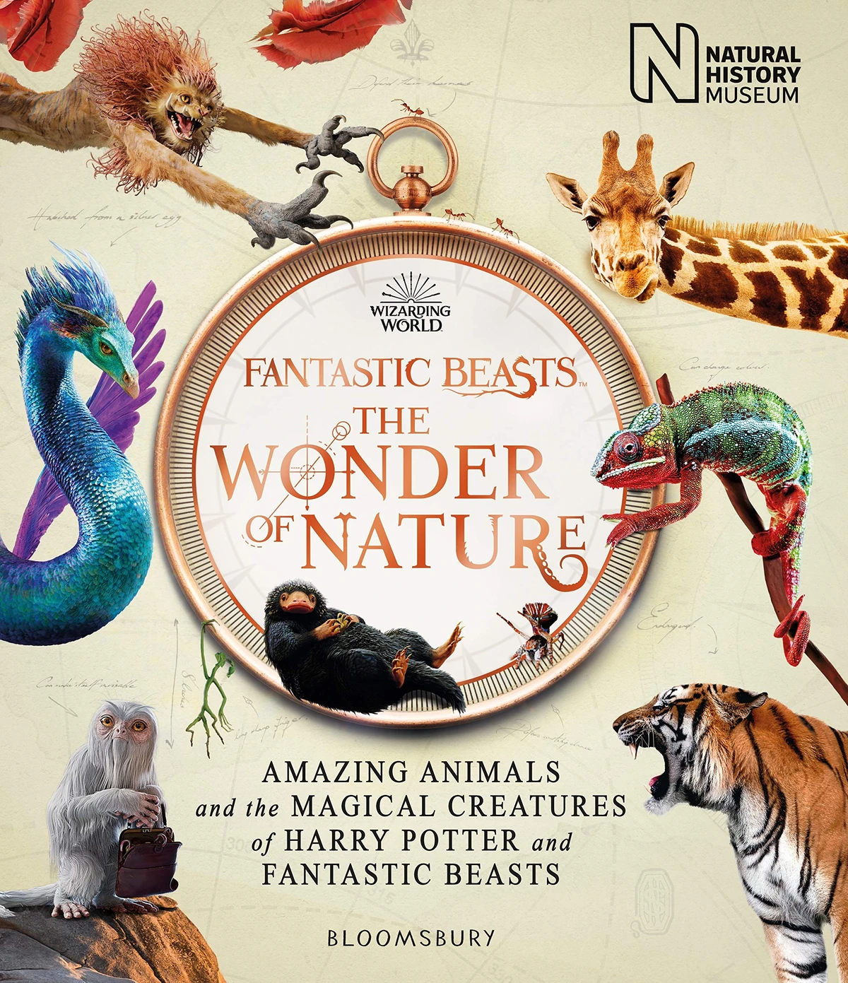 Fantastic Beasts: The Wonder of Nature: Amazing Animals and the Magical ...