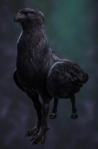 Caligo | Wiki Harry Potter | Fandom