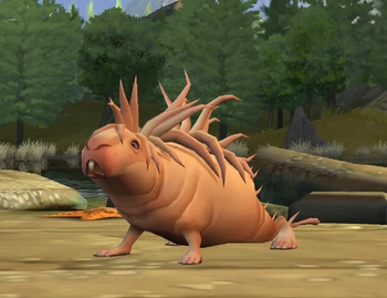 Murtlap at the Magical Creatures Reserve | Harry Potter Wiki | Fandom