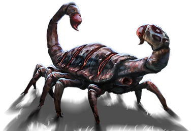 Fire Crab Harry Potter