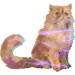 Crookshanks | Harry Potter Wiki | Fandom