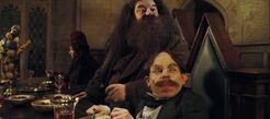 Filius Flitwick | Harry Potter Wiki | Fandom