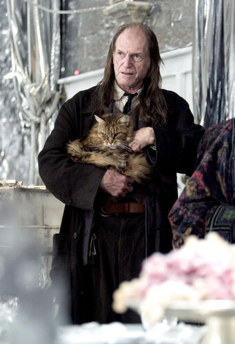 Argus Filch | Harry Potter Wiki | Fandom