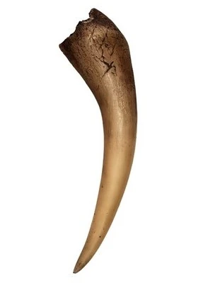 Basilisk venom | Harry Potter Wiki | Fandom