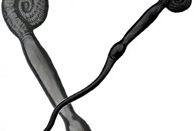 why did charlie weasley get a new wand