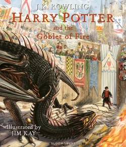 goblet of fire plot