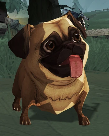 Pug | Harry Potter Wiki | Fandom