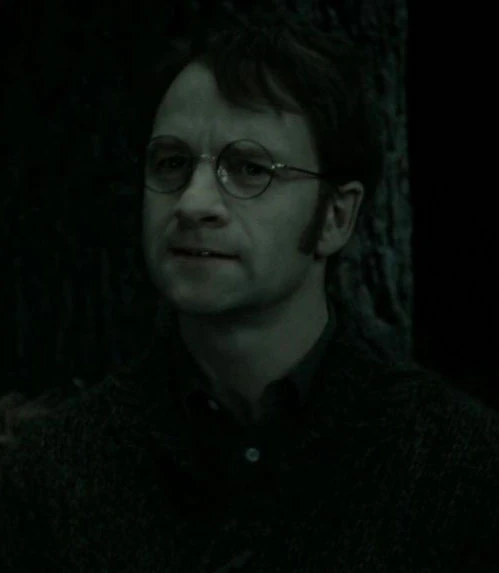 James Potter | Wiki Harry Potter | Fandom