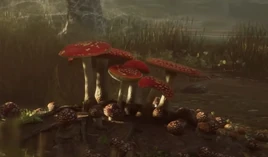 Leaping Toadstool | Harry Potter Wiki | Fandom