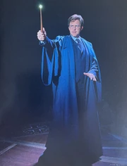 Jim Fish | Harry Potter Wiki | Fandom