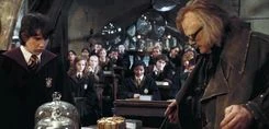 Marcel Lubbermans | Harry Potter Wiki | Fandom