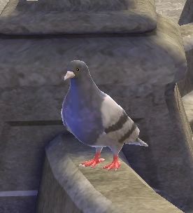 Pigeon | Harry Potter Wiki | Fandom