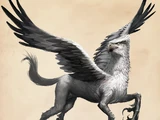 Category:Patronus forms | Harry Potter Wiki | Fandom