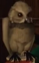 Owl | Harry Potter Wiki | Fandom