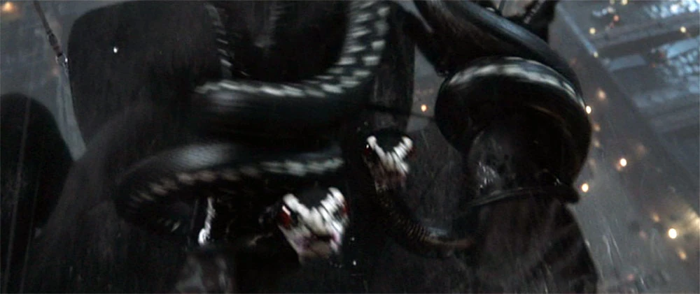 Rope to snake spell | Harry Potter Wiki | Fandom