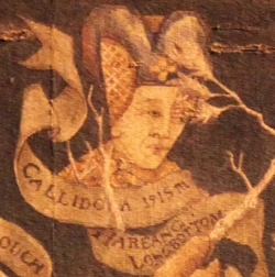 Callidora Black | Harry-Potter-Lexikon | Fandom