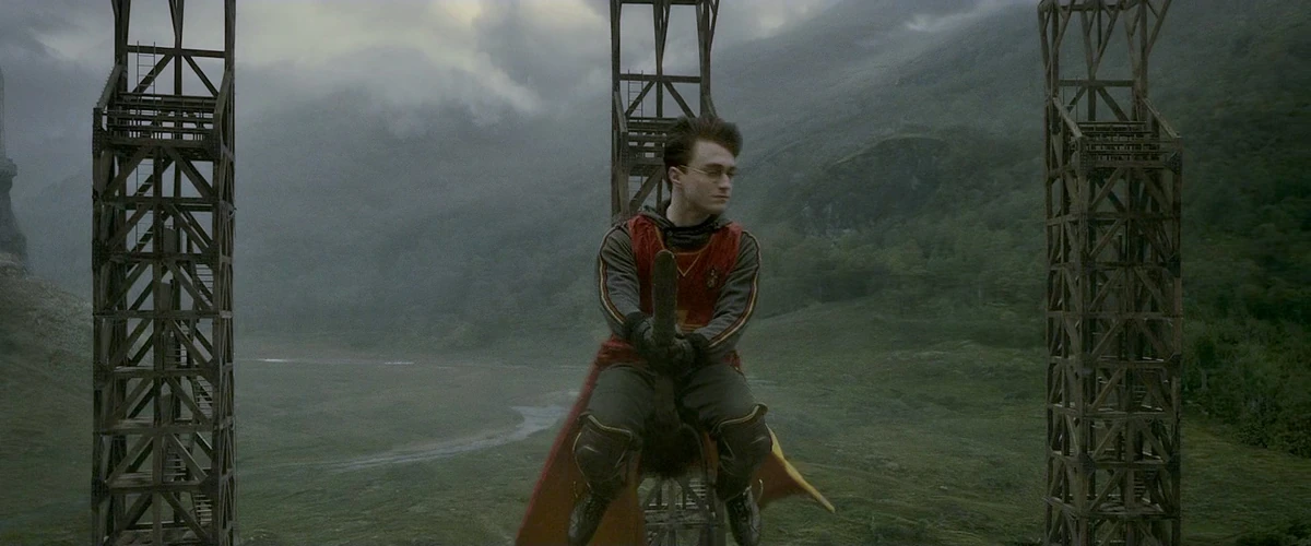 Quidditch Captain | Harry Potter Wiki | Fandom