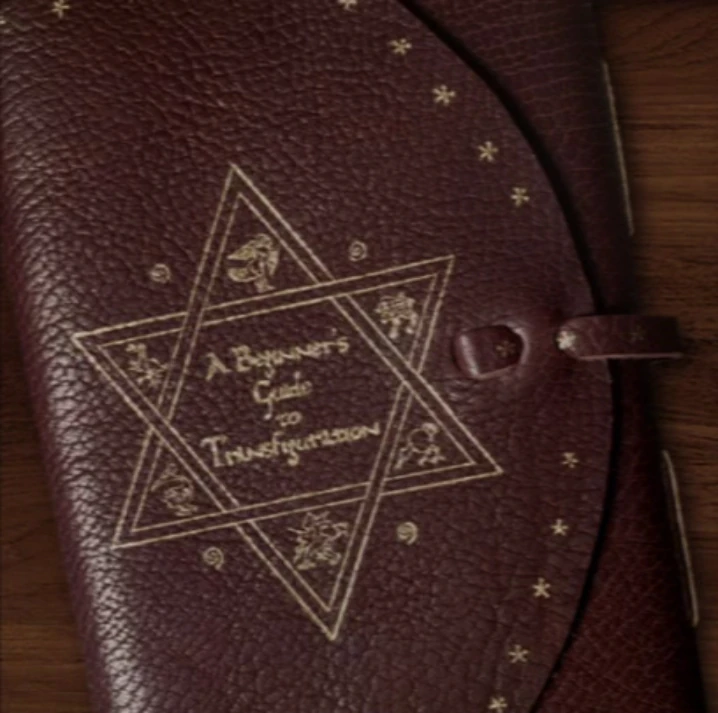 Transfiguration Harry Potter Wiki