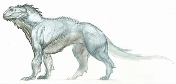 Drake | Harry Potter Wiki | Fandom