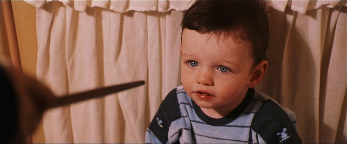 Tom Riddle's wand | Harry Potter Wiki | Fandom