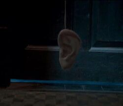 Extendable Ears | Harry Potter Wiki | Fandom