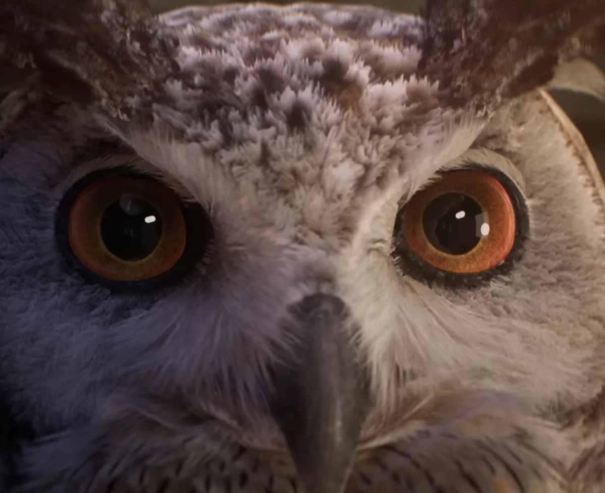 Hogwarts school owls | Harry Potter Wiki | Fandom