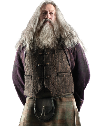 Aberforth Dumbledore | Harry Potter Wiki | Fandom