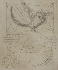 Fwooper | Harry Potter Wiki | Fandom