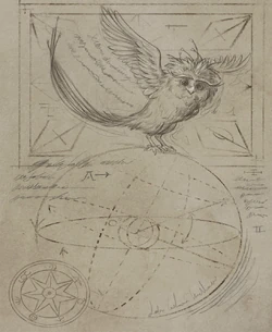 Fwooper | Harry Potter Wiki | Fandom