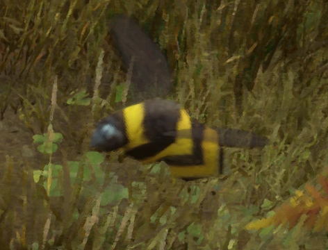 Bourdon | Wiki Harry Potter | Fandom