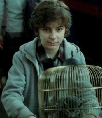 James Potter II | Wiki Harry Potter | Fandom