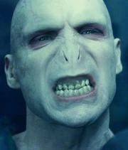 Neville Paciock | Harry Potter Wiki | Fandom