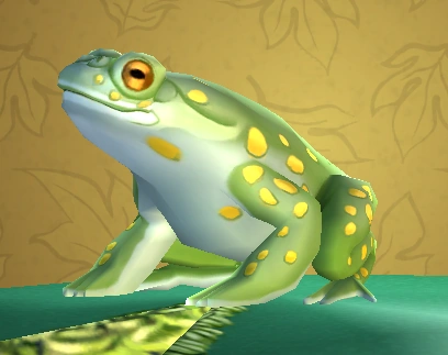 Splendid tree frog | Harry Potter Wiki | Fandom