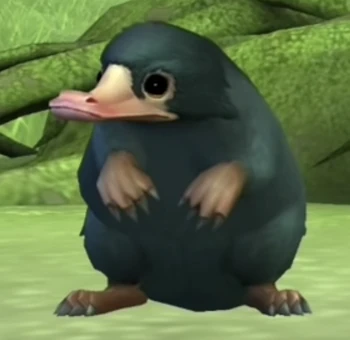 Niffler at the Magical Creatures Reserve | Harry Potter Wiki | Fandom