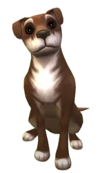 Achievements in Harry Potter: Hogwarts Mystery | Harry Potter Wiki | Fandom