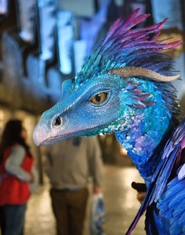 Occamy in Hogsmeade | Harry Potter Wiki | Fandom