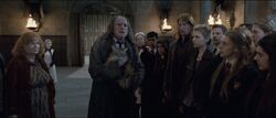 Mrs Norris | Harry Potter Wiki | Fandom