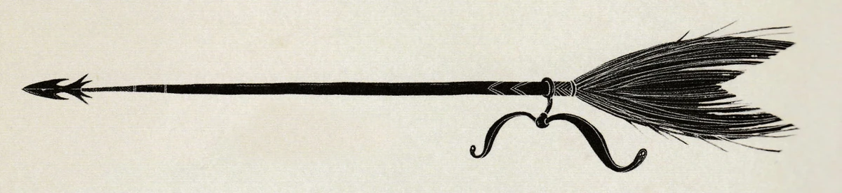 Silver Arrow | Harry Potter Wiki | Fandom